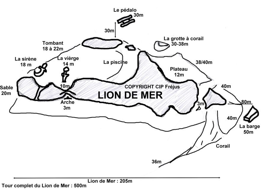 Le Lion de Mer - CIP Fréjus